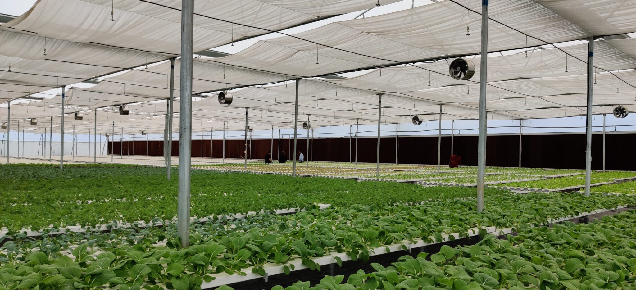 Reduce Carbon Footprint – Maldivian Mermaid