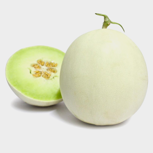 Catalog – Maldivian Mermaid